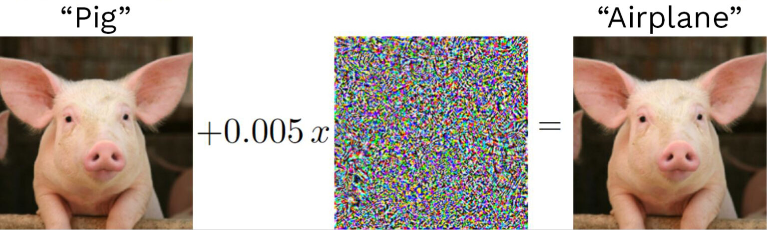 Robust or vulnerable - gaining more insights into neural networks with ...